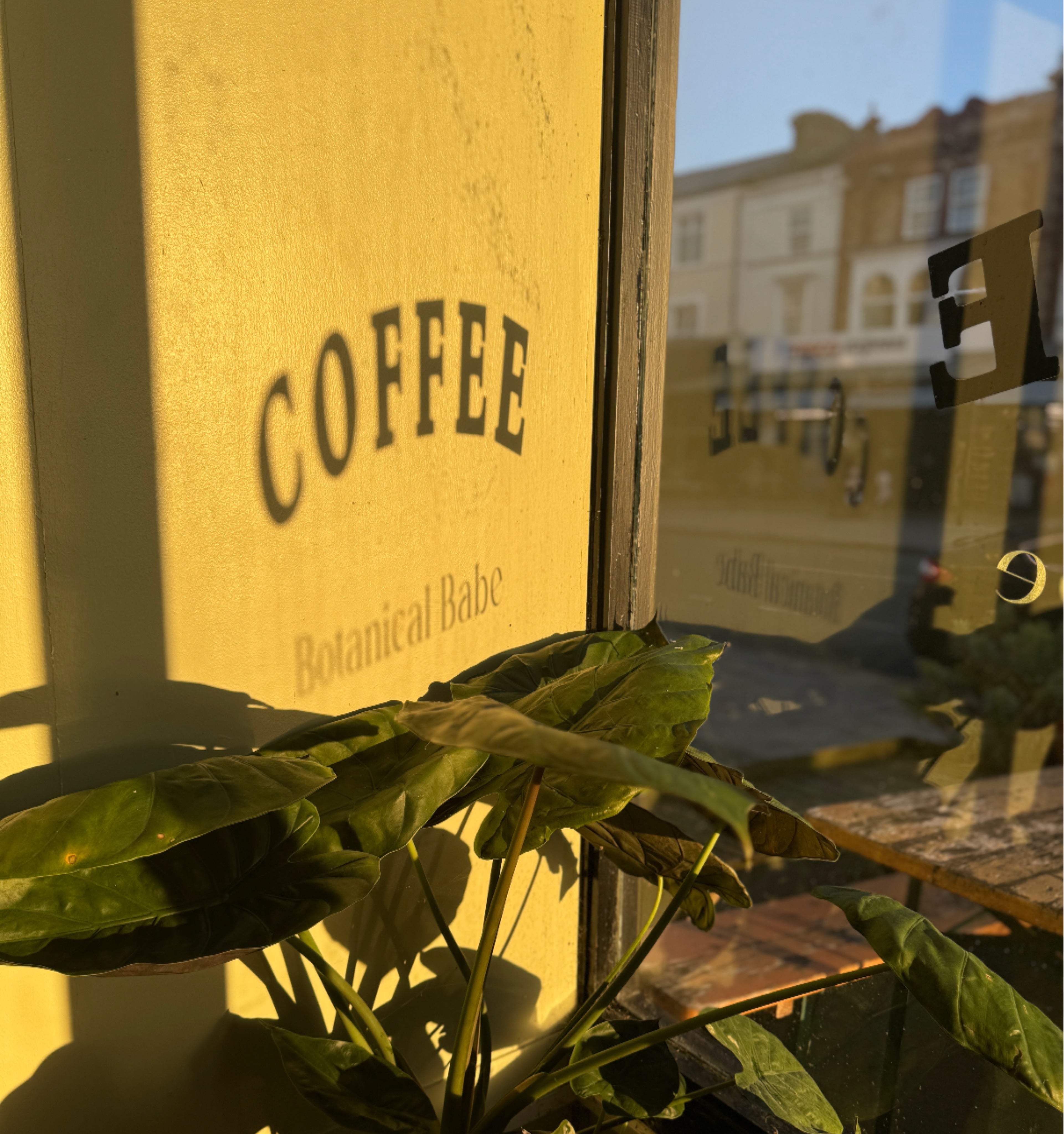 Coffee House – Botanical Babe